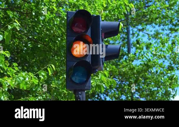Urban traffic light glowing red against a clear blue sky and green tree ...