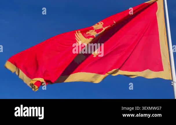 The red Montenegro national flag with golden double headed eagle crest ...