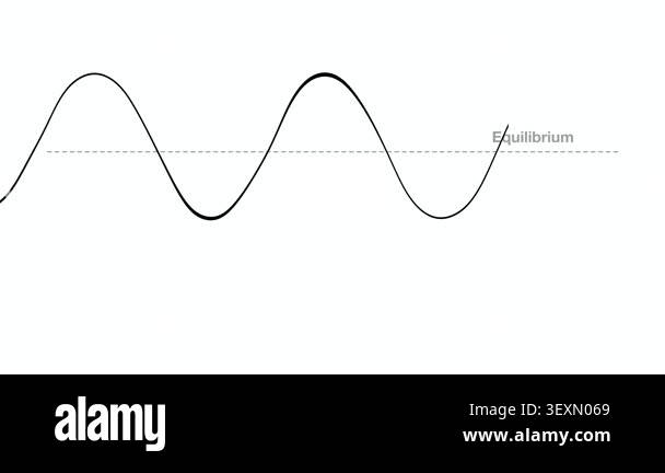 Animation of Physics infographic explaining transverse wave anatomy ...