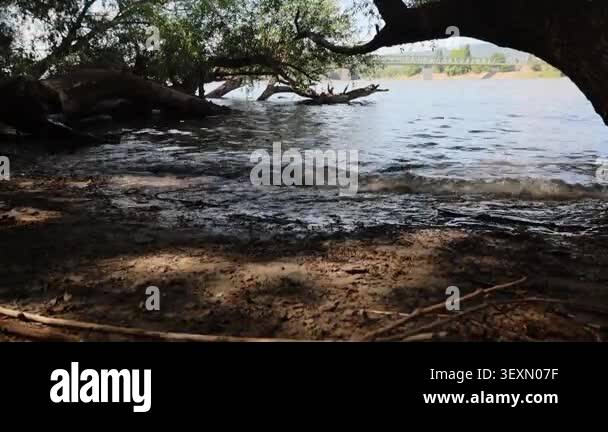 Cinematic shot of calm river waves gently rolling onto a muddy ...