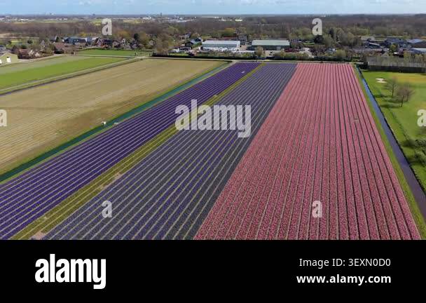 A high-angle aerial drone photograph capturing a beautiful panoramic ...