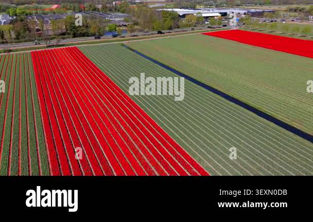 A high-angle aerial drone photograph capturing the geometric patterns ...