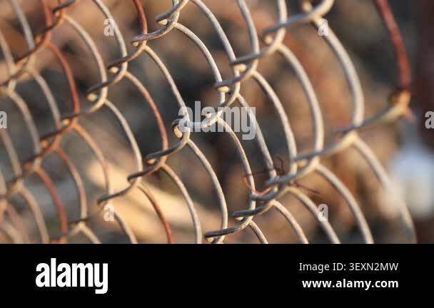 Rusty metal fence close up with weathered texture corrosion and aged ...