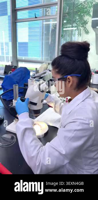 Female scientist wearing a lab coat and safety glasses working with a ...