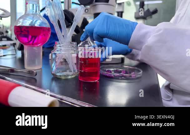 Scientist in a research lab using a pipette to transfer liquid into a ...