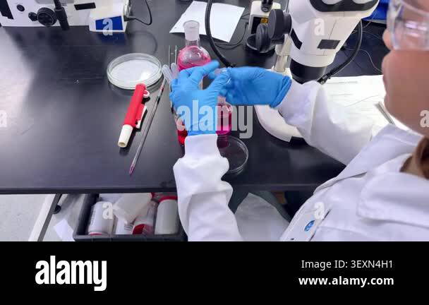 Young scientist in a laboratory conducting chemical experiments with a ...