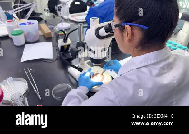 Professional female scientist in a laboratory conducting research while ...