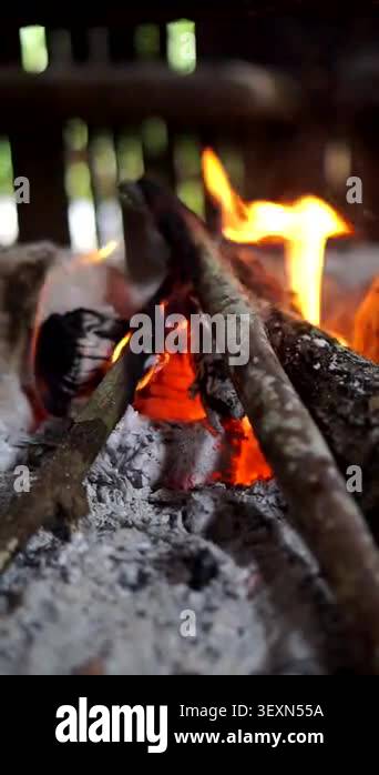 Close-up shot of bright orange flames burning traditional firewood ...