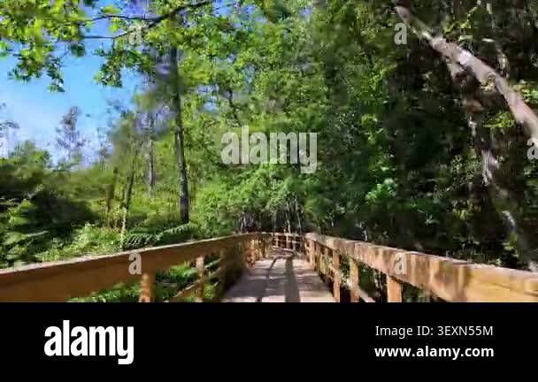 First-person perspective moving along a wooden walkway surrounded by ...