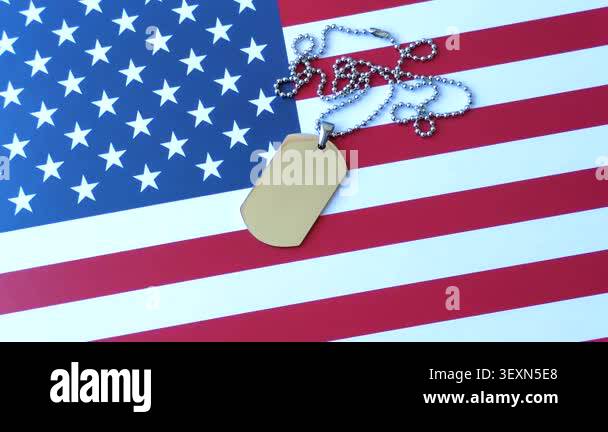 A dog tag on the US flag, serving as a conceptual backdrop representing ...