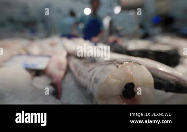 Fresh seafood display with fish on ice at a market counter with ...
