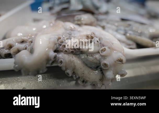 Fresh octopus and other seafood for sale on a wet market counter in ...