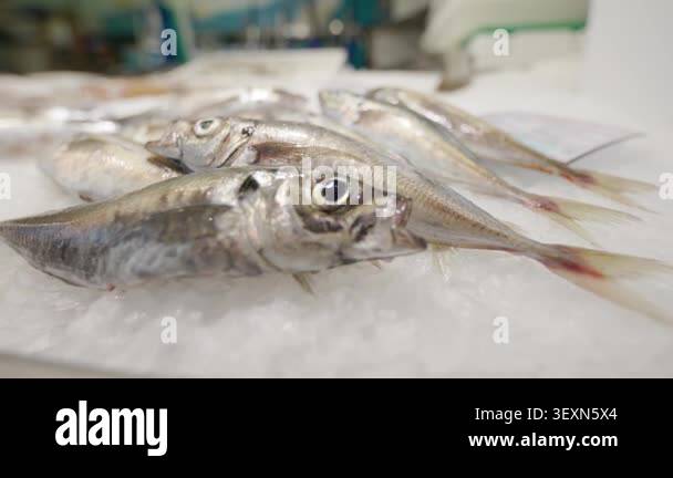 Close-up of raw horse mackerel on a bed of crushed ice at a fishmongers ...
