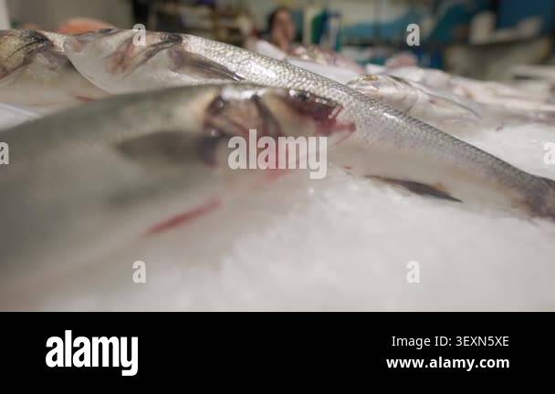 Freshly caught sea bass lying on a bed of crushed ice at a fish market ...