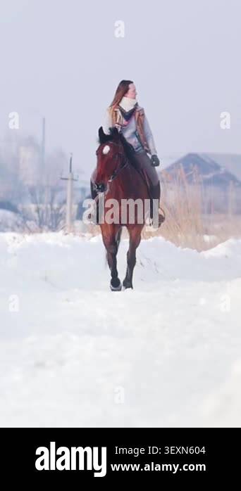 Equestrian sport - rider woman on horse walking in snowy outdoor and ...