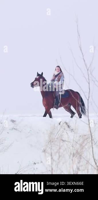 Beautiful longhaired woman riding a brown horse through the deep ...