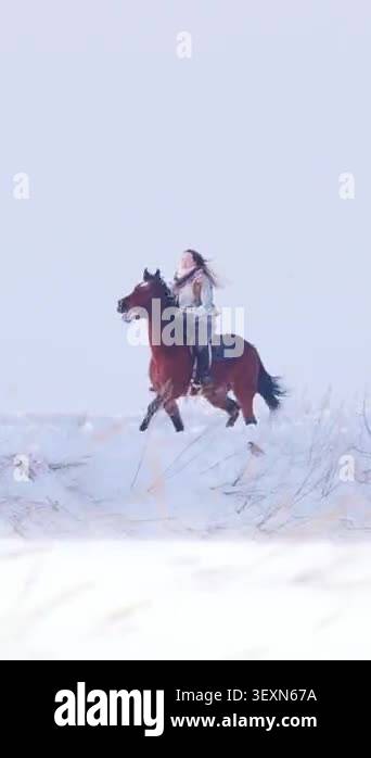 Beautiful longhaired woman riding a brown horse through the deep ...