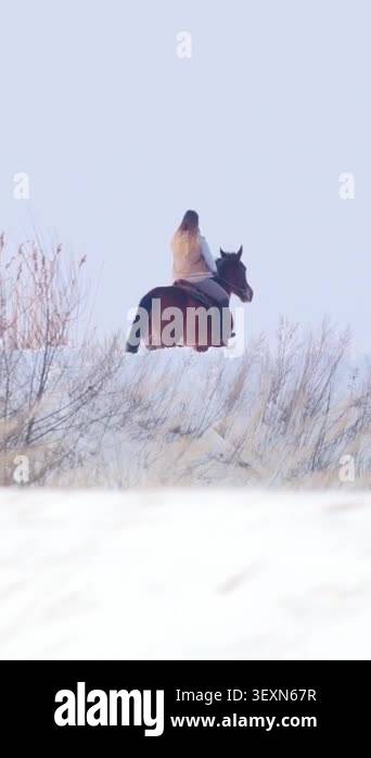 Equestrian sport - rider woman on horse walking in snowy outdoor ...