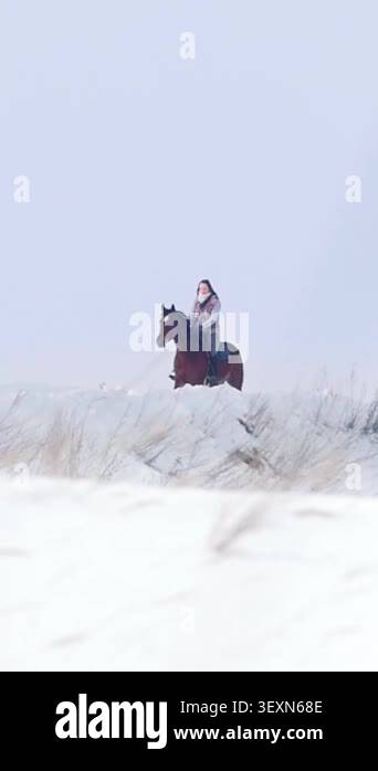 Beautiful longhaired woman riding a brown horse through the deep ...