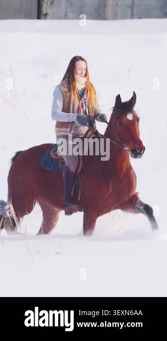 Equestrian sport - rider woman on horse walking in snowy outdoor ...