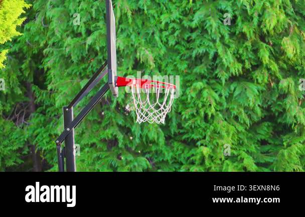 Side view of an outdoor basketball hoop system featuring a vibrant ...