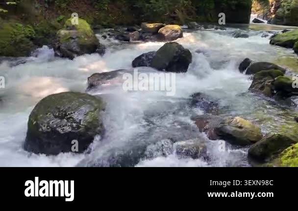Fast mountain river flowing through the lush rainforest of Mtirala ...