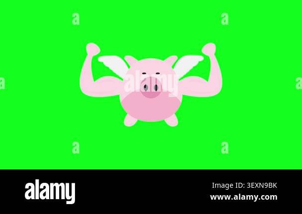 Strong Muscular Pig with Wings Financial Power Green Screen 4K Stock ...