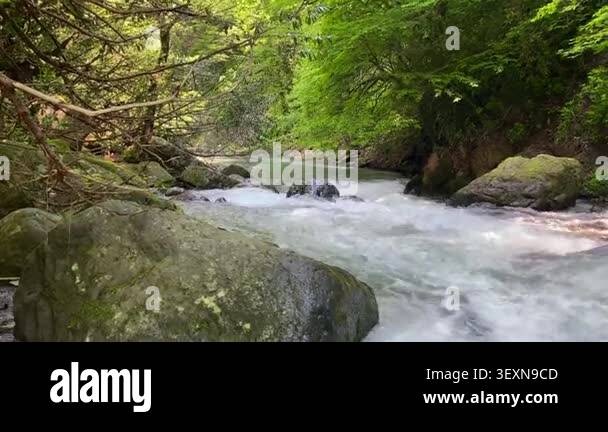 Mountain river flowing through a narrow rocky gorge in Mtirala National ...
