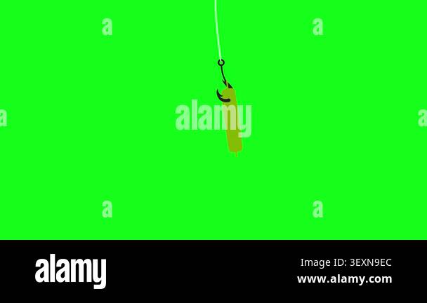 Gold Coin on Fishing Hook Money Trap Green Screen 4K Stock Video ...