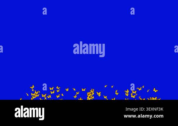 Group of Yellow bright butterflies flying in the air on blue screen ...