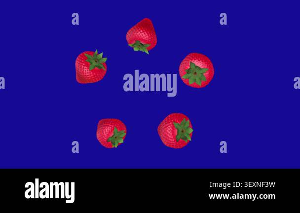 Strawberries rotation around center point on blue screen background ...