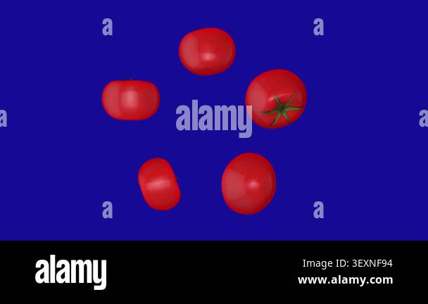 Tomatoes rotation around center point on blue screen background Stock ...