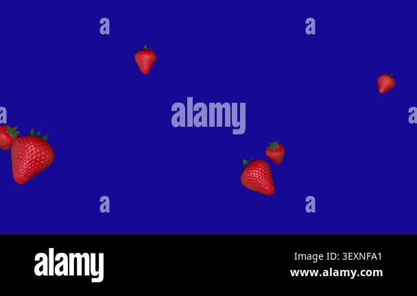 Many Red Strawberry falling down on blue screen background Stock Video ...