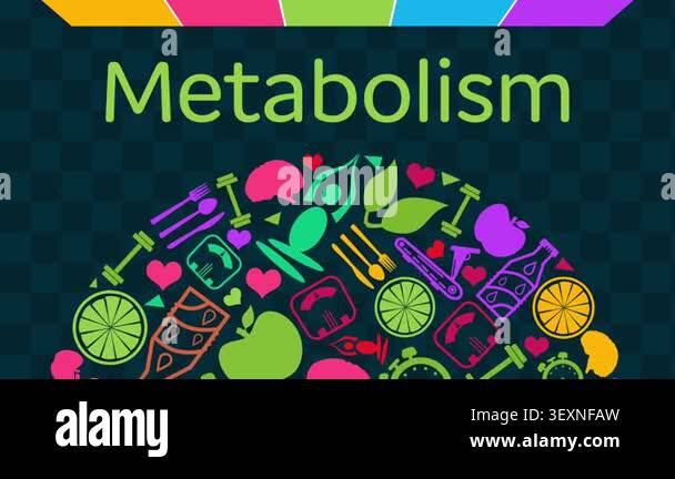 Metabolism concept animation with text and health symbols circular ...