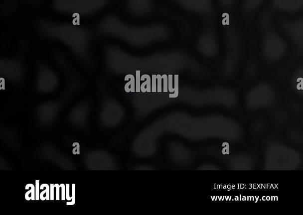 Dark grey black gradient wavy shapes motion background seamless looping ...