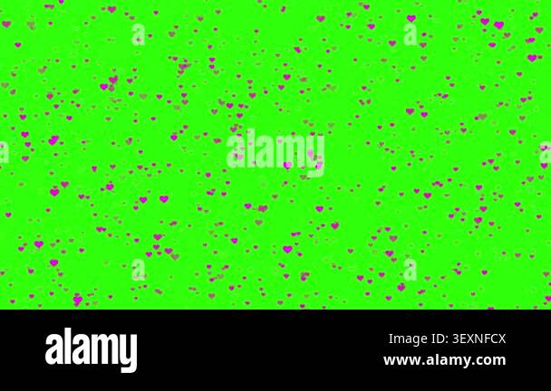 Floating Pink Heart Particles on Green Screen Romantic Love Overlay ...
