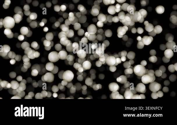 Abstract White Bokeh Light Particles on Black and Green Screen Soft ...