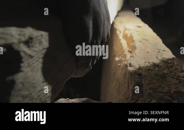 Explorer's hand moving a heavy stone block to open an ancient, dusty ...