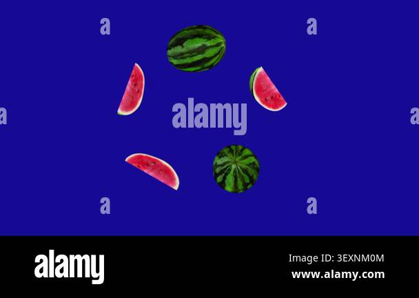 Watermelons rotation around center point on blue screen background ...