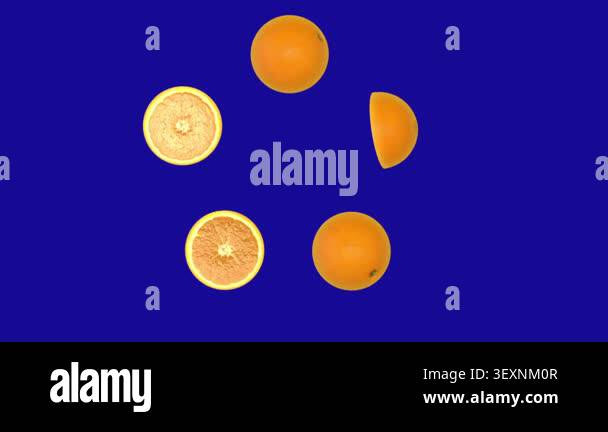 Oranges rotation around center point on blue screen background Stock ...