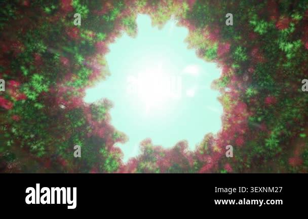 Red leaves and green plant environment rotating around the sun and sky ...