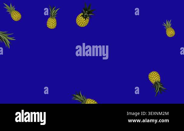 Many Pineapples falling down from the top on blue screen background ...
