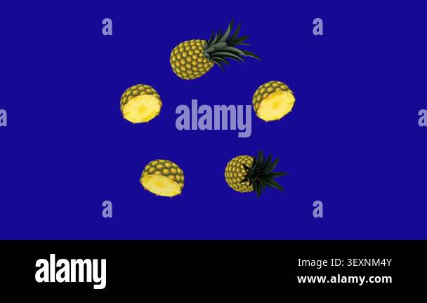 Pineapples rotation around center point on blue screen background Stock ...