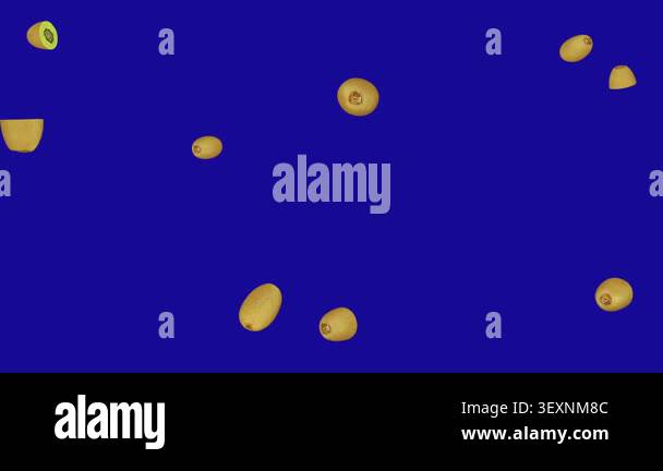 A lot of Kiwi Fruit falling down from the top on blue screen background ...