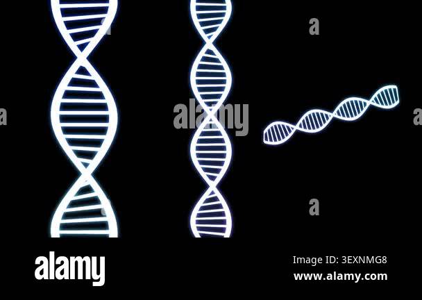 3 style of DNA glowing rotation on black background.DNA rotation ...