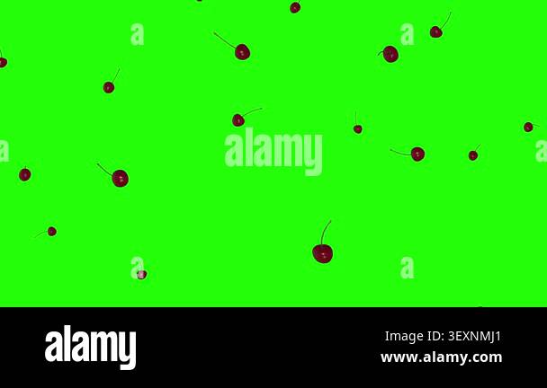 A lot of Cherry falling down on green screen background Stock Video ...