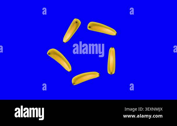 Bananas rotation around center point on blue screen background Stock ...