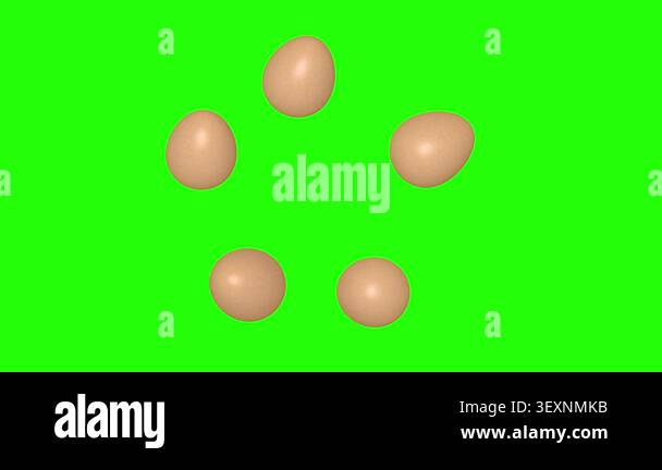 Eggs rotation around center point on green screen background Stock ...