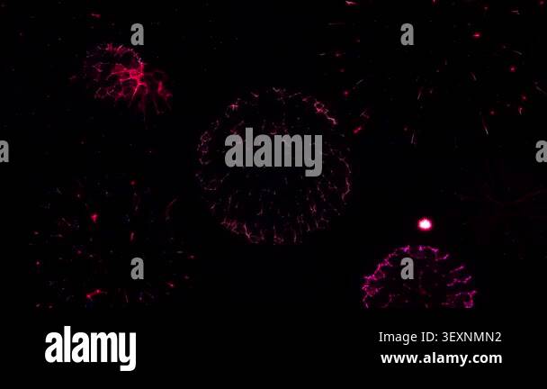 Firework shockwave colorful exploding effect.Firework shockwave ...