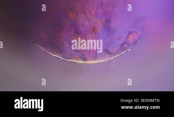 Glitter paint fluid. Sparkling texture. Defocused purple orange neon ...